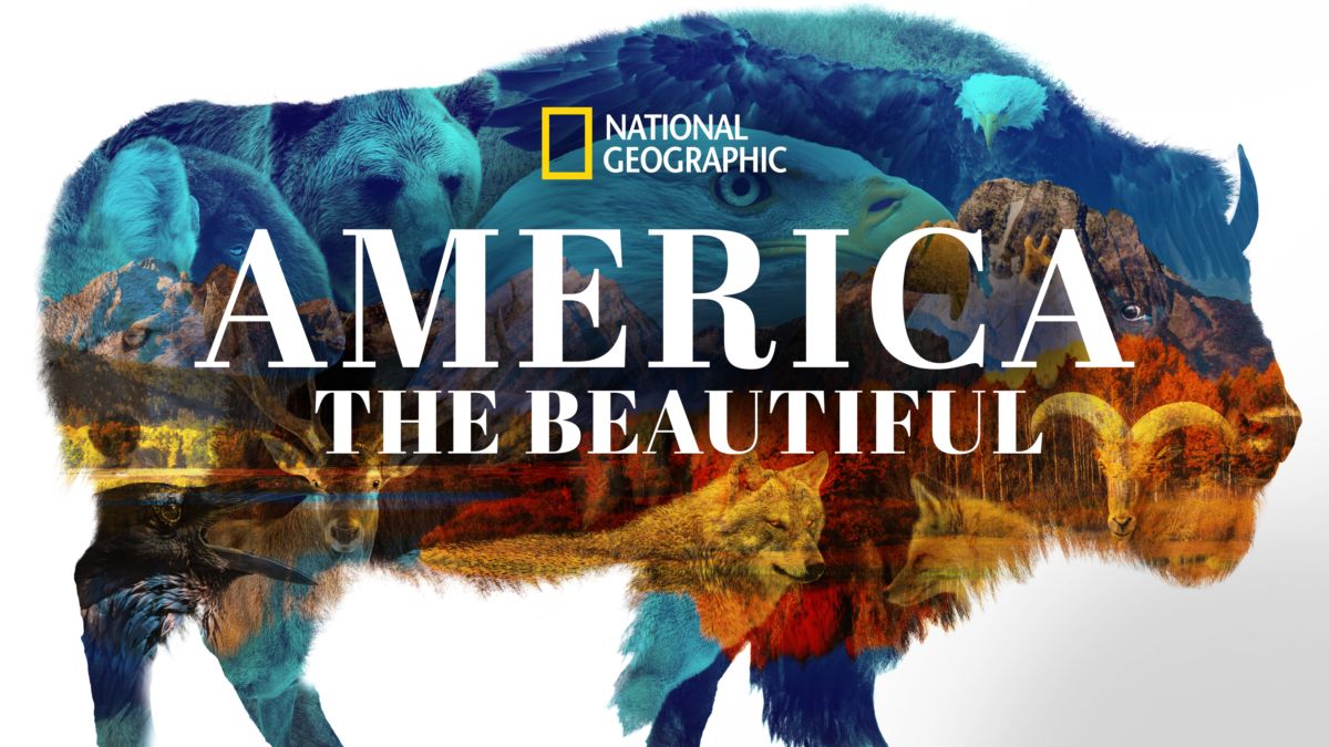 America The Beautiful: Disney + - Films at 59